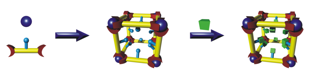 Functionalization of materials` backbone - WUTTKEGROUP