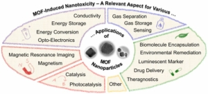 Toxicity of Metal-Organic Framework Nanoparticles: From Essential ...