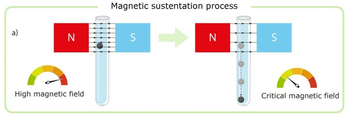 Magnetic sustentation process as a new adsorption characterization ...
